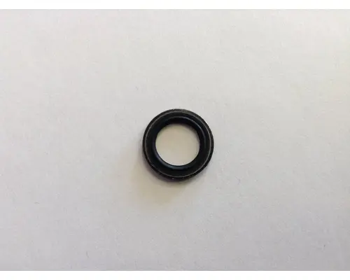 Cummins ISX Engine ORing (All) in Kansas City, MO #MB 4934278