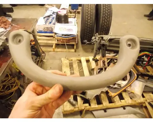 INTERNATIONAL PROSTAR Grab Handle in Holland, MI #28000