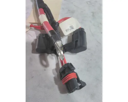 INTERNATIONAL BATTERY OEM# WC-96154 in MARSHFIELD, MO $36.63 #WC-96154