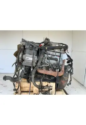 International VT365 Engine Assembly in Elkton, MD #P-39530