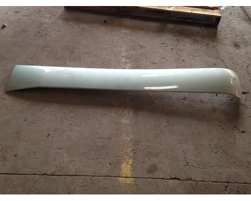 PETERBILT 579 Cab Exterior Trim Panel OEM# R336024R in Dorr, MI #785-10060